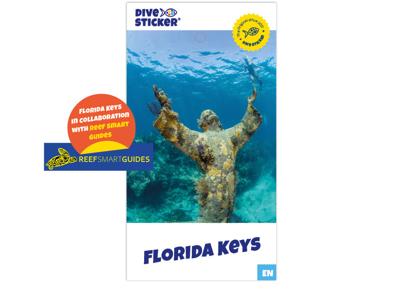 Florida Keys – Dive Sticker